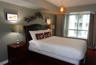 MedsHousing - Medical housing near medical schools